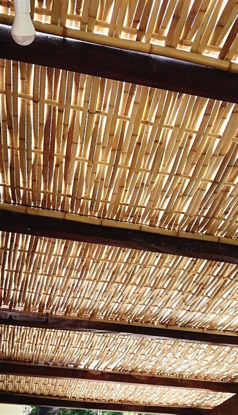 Forro Bambu Neves Bambu Decorações Brasil Teto De Bambu Toldos Para Casa Decoração Com Bambu