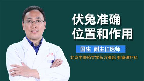 伏兔穴的位置 有来医生