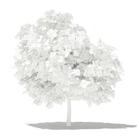 Mango Tree 26m 3d 모델 다운로드 Black Friday Sale On