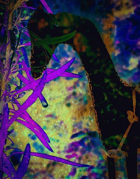 Bea M On Linkedin 💙💜🍃🐴🪶🍁🎋