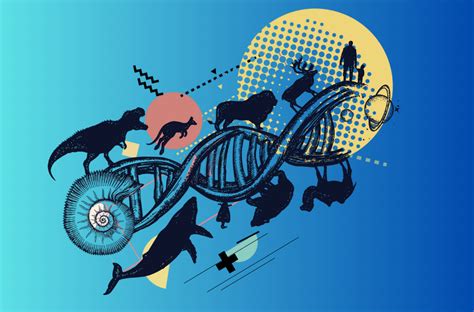 Human Evolution Future Theories