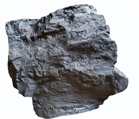 Natural Bio Coal At ₹ 18500tonne Bio Coal In Chatra Id 2852564013712