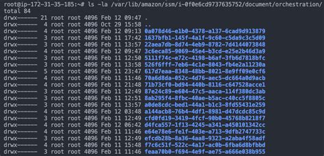Path Traversal In Aws Ssm Agent Plugin Id Validation