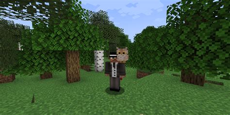 Animal Garden Owl For Minecraft 1214