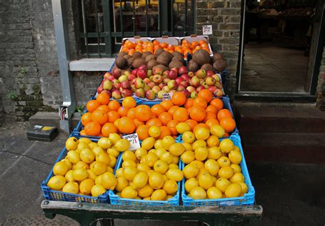 Sam Instance Segmentation Dataset By Yolov8