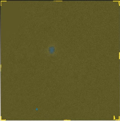 False Positive Object Classification At The Borders Of The Image Image Analysis Image Sc Forum