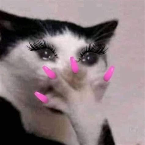 Phan Vy University Of Social Sciences And Humanities Hanoi Faculty Of Journalism And