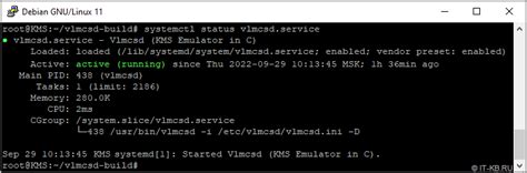 kms сервер для windows office на debian linux 11 с vlmcsd