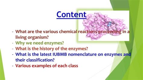 Types Of Reactions In Biological System And Enzyme Classification Updated 2018 Ppt