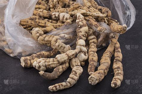 东药雷公藤，雷公藤。