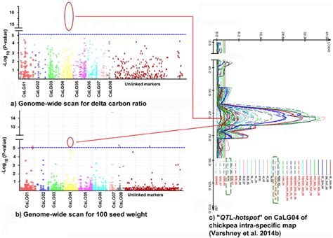 Significant Marker Trait Associations Mtas For D 13 C And 100 Seed