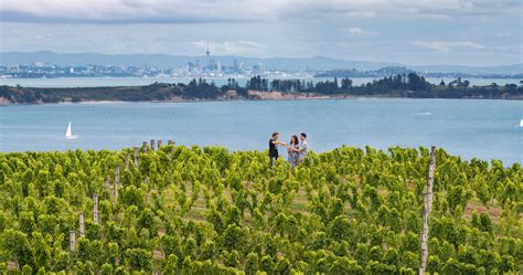 Waiheke Island 100 Pure New Zealand