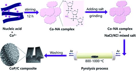 Schematic Illustration Of The Synthesis Procedure Of A Cobalt
