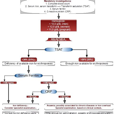 Algorithm For Patient Red Cell Mass Optimisation 1 Sometimes