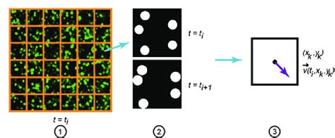2 A Simplified Representation Of The Piv Algorithm Used In Step 1