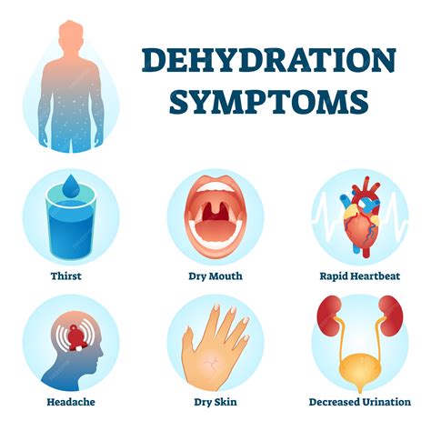 Premium Vector Dehydration Symptoms Illustration Water Deficit Diagnosis Scheme
