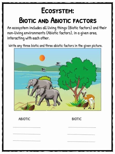 6th Grade Biotic And Abiotic Factors Worksheet