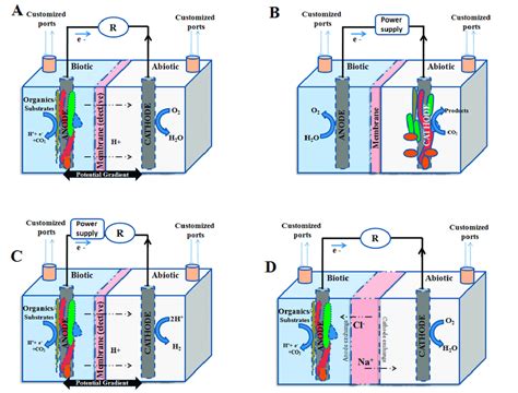 Variants Of Mes A Microbial Fuel Cells Mfc B Microbial Download Scientific Diagram