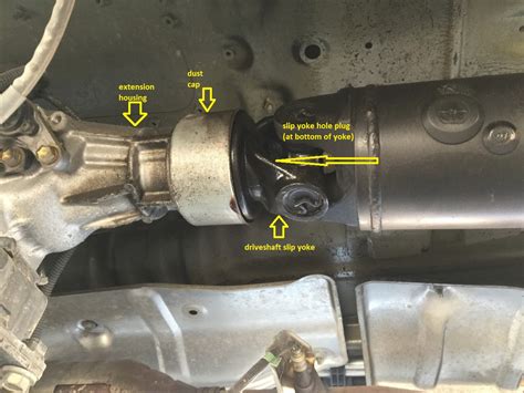 Extension Housing Seal Leaking At Naomi Marshall Blog