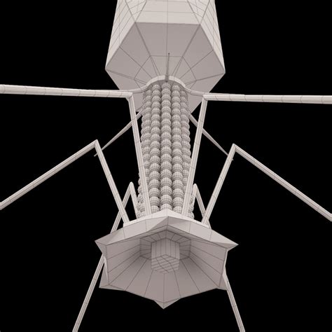 Microscopic 3d Model