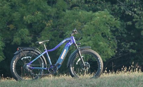 Best Off Road Electric Bikes 2023 Young Electric