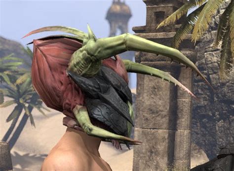 Eso Fashion Chokethorn Elder Scrolls Online