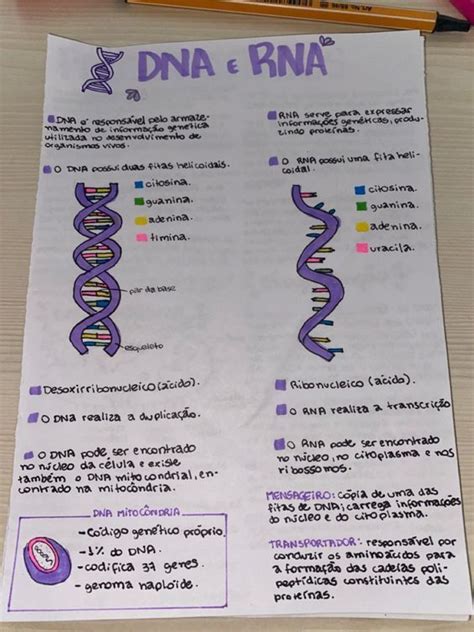 Best 13 Dna Vs Rna Definition And 30 Key Differences Artofit
