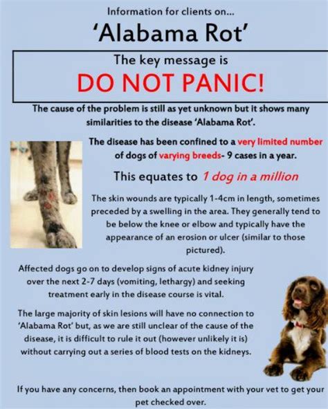 Where Do Dogs Get Alabama Rot