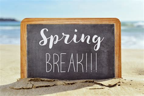 Spring Break Sex Guide Who Doesnt Like Spring Break Fun Vforvibes