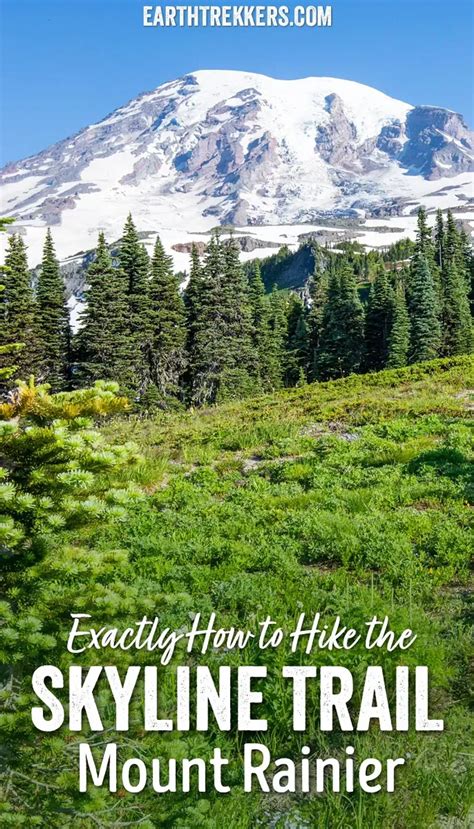 How To Hike The Skyline Loop Trail Mt Rainier Artofit