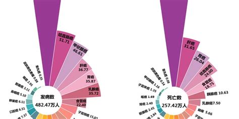 30年数据揭秘：乳腺癌、宫颈癌等四大女性癌症的最新趋势与预防关键 Medfind