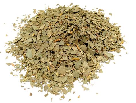 Eucalptus Leaves Eco Freaks Emporium