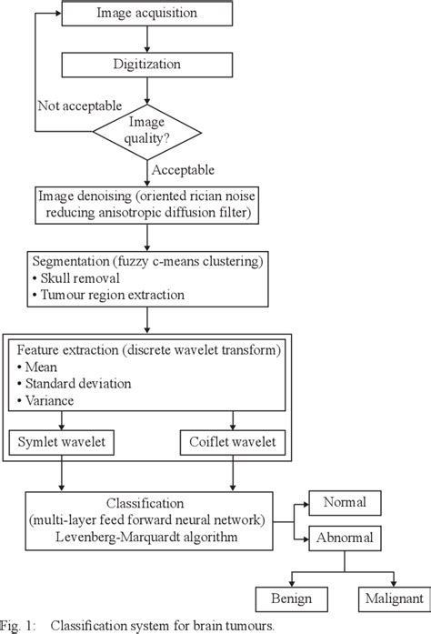Figure 1 From An Improved Classification System For Brain Tumours Using Wavelet Transform And