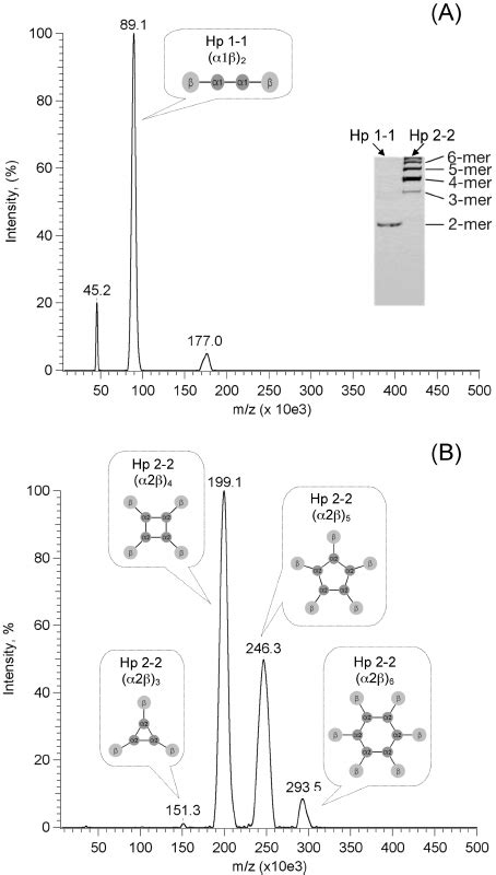 High Mass Maldi Tof Mass Spectra A Of Hp 1 1 Measured Using 30 Ng