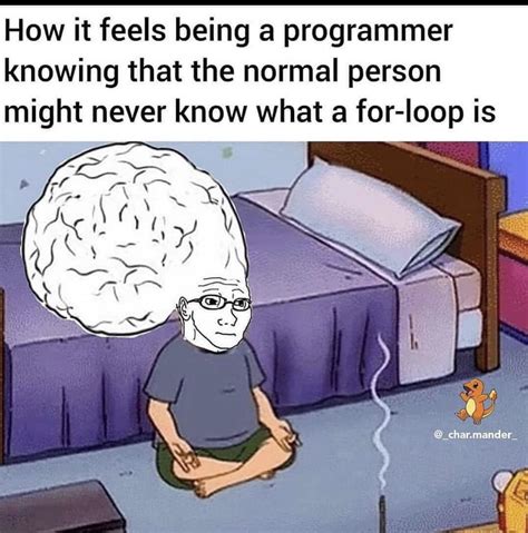 Well Rprogrammerhumor