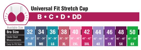 D Cup Bra Size Chart