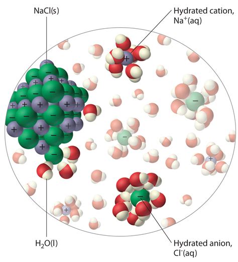 Aqueous Solution Examples