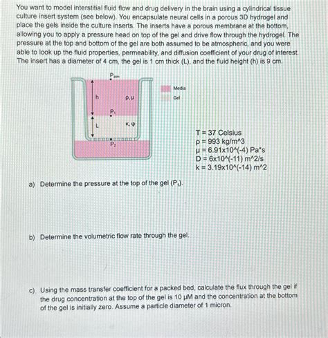Solved You Want To Model Interstitial Fluid Flow And Drug