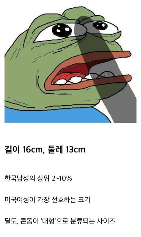 한국 남자 대물 기준과 평균 사이즈