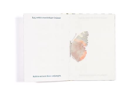 Friederike Von Hellermann