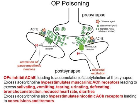 Organophosphates Poisoning Opp