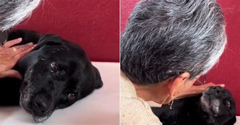 “quiero Que Te Vayas Contento” La Emotiva Despedida De Una Mujer A Su