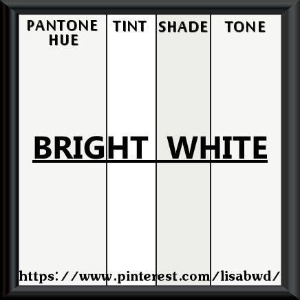 Pantone Bright White Color Swatch