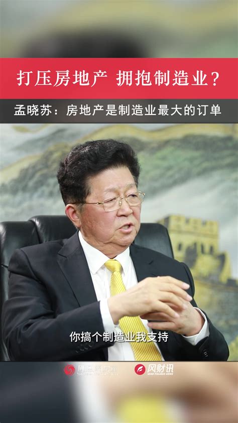 孟晓苏：房地产是制造业最大的订单，不应该打压凤凰网视频凤凰网
