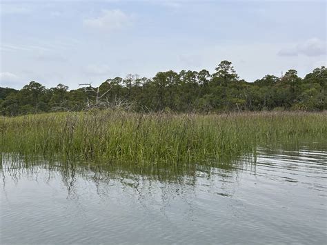 Untitled Joannna Moore Flickr