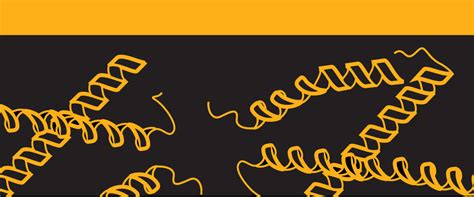 Border Patrol Maglab