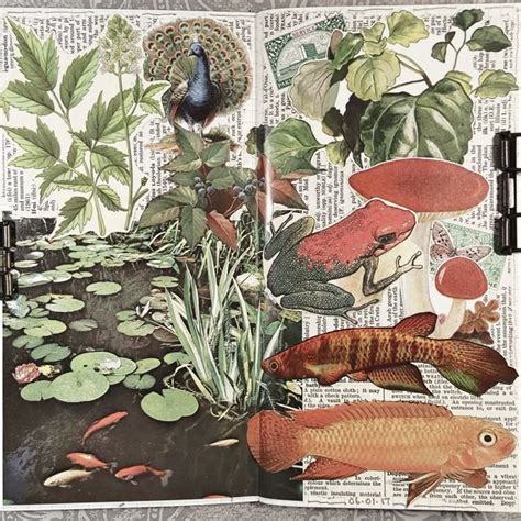 Constance Rose Art And Life