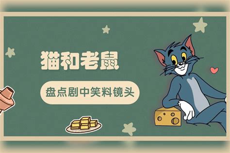 猫和老鼠：盘点剧中笑料镜头，汤姆被章鱼抱住头，这下有好戏看汤姆镜头笑料