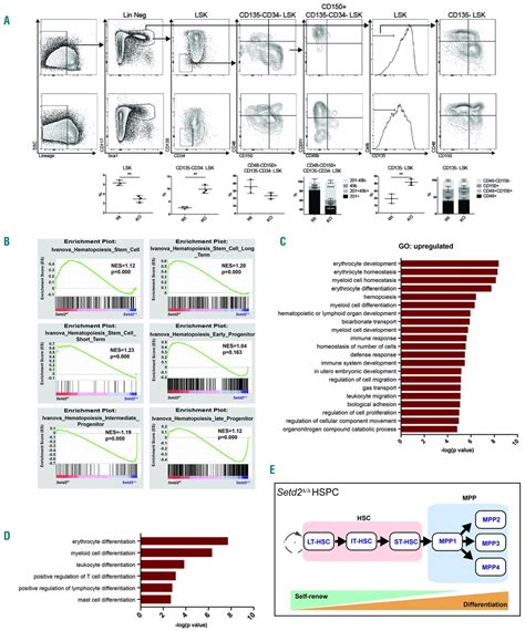 Setd2 Regulates Quiescence And Differentiation Of Adult Hematopoietic