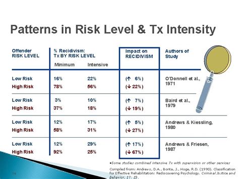 Offender Assessment Utilizing The Riskneed Responsivity Model A